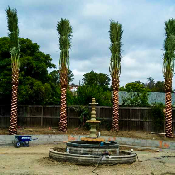 Gallery – Pacific West Tree Nursery