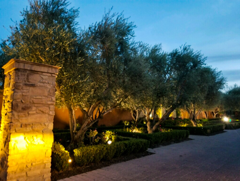 Gallery – Pacific West Tree Nursery